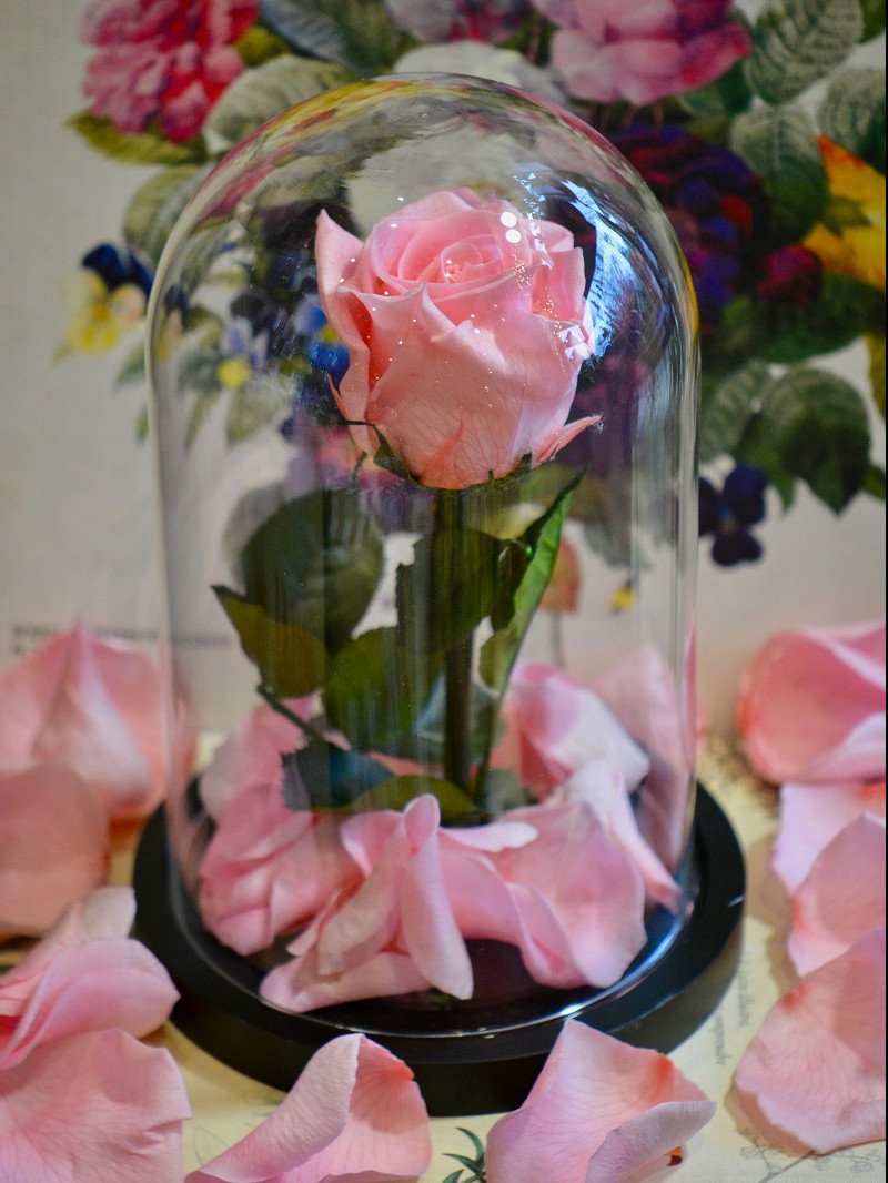 Rose naturalisée avec tige rose - Marie Paolini