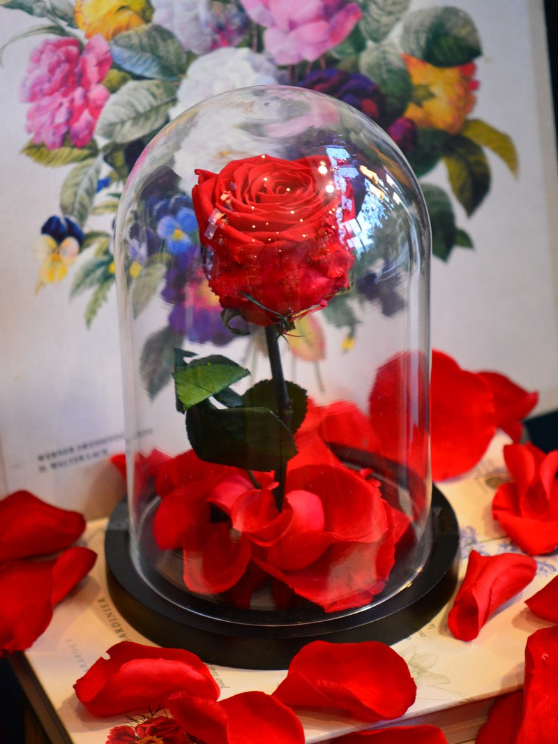 Rose naturalisée avec tige rouge - Marie Paolini